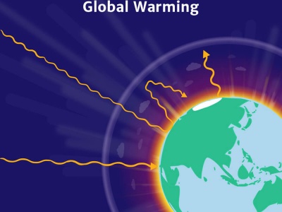 What Are The Effects Of Global Warming