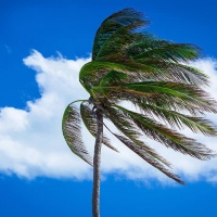 Motion Energy - Knowledge Bank - Solar Schools